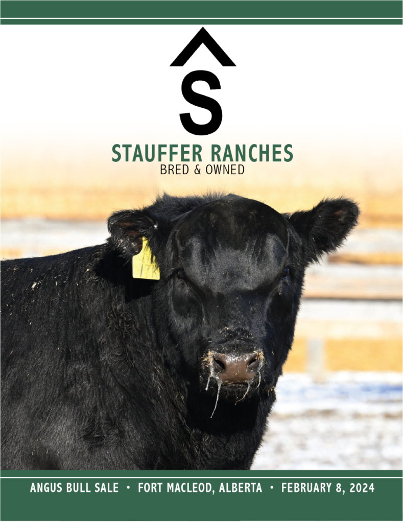 2024 Bull Sale Catalogue | Stauffer Ranches