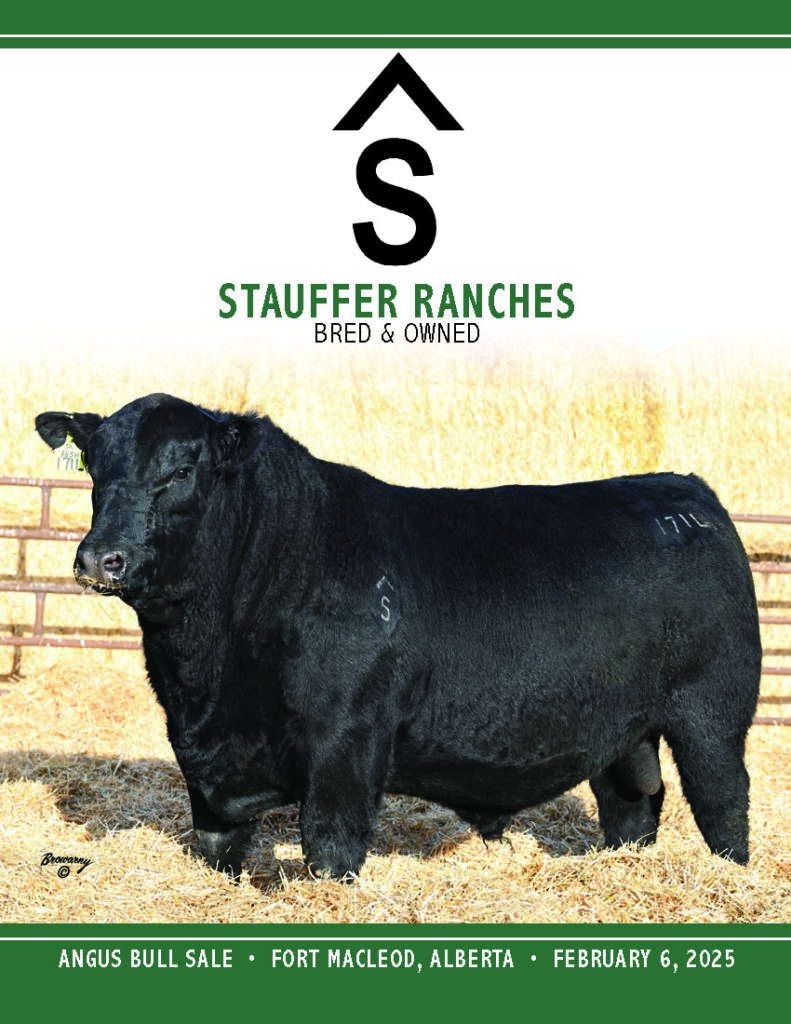 2025 Bull Sale Catalogue | Stauffer Ranches