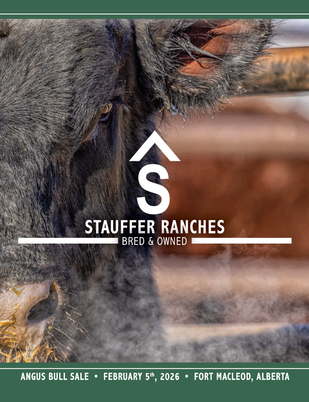 2026 Bull Sale Catalogue | Stauffer Ranches